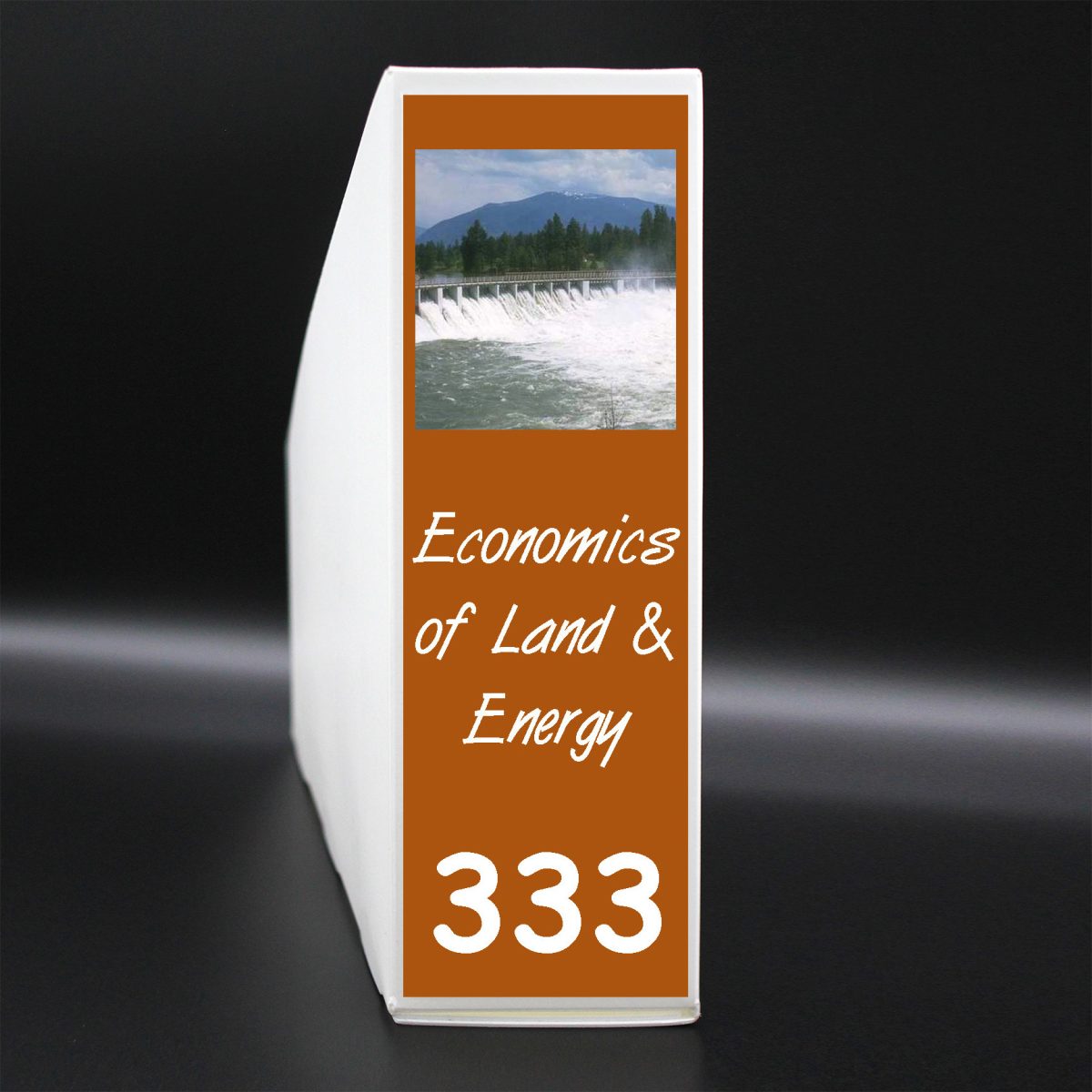 Shelf Divider Set - Where Is It Nonfiction ? Expanded Set #1 - 20 pc ...